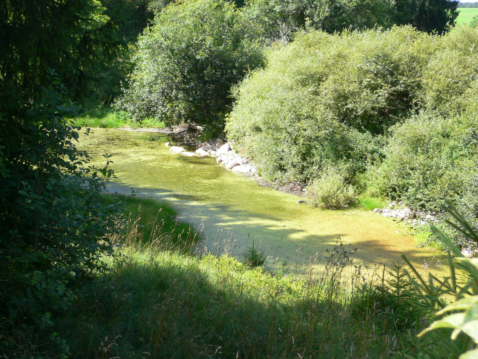 Galerie de photos – Commune de Muriaux
