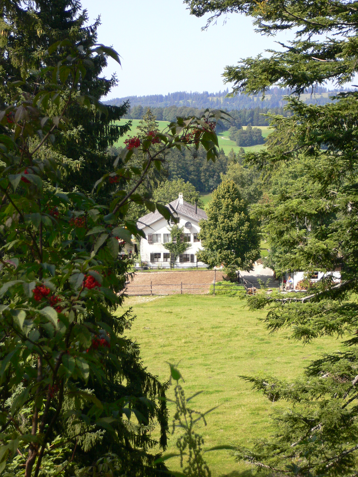 Galerie de photos – Commune de Muriaux